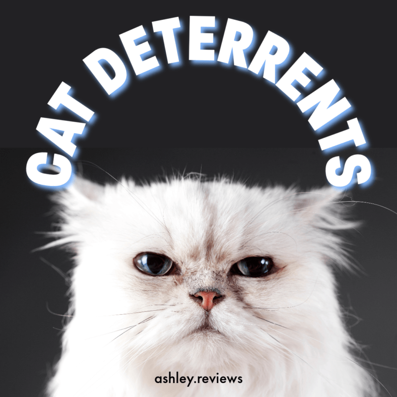 Reviewing Cat Deterrents: 4 Products to Attempt to Corral Your Feline